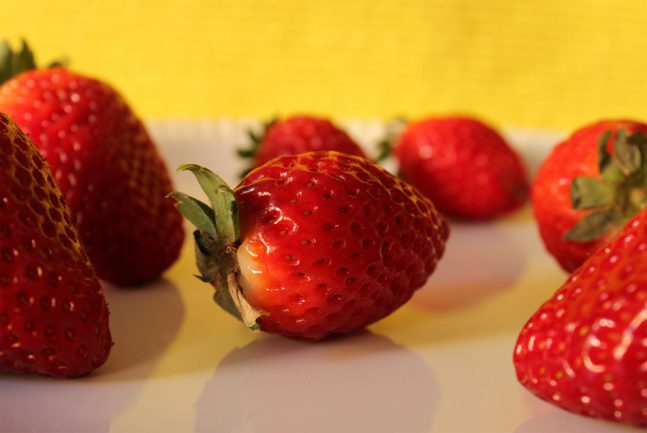 Life Food, disfrutar de los alimentos vivos | Gastronomía & Cía
