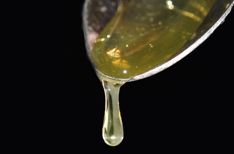 Caramelos prebióticos con efecto bífidus y reguladores del colesterol ...