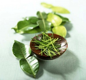 Lima kaffir | Gastronomía & Cía