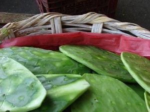 Nopal con Denominación de Origen | Gastronomía & Cía