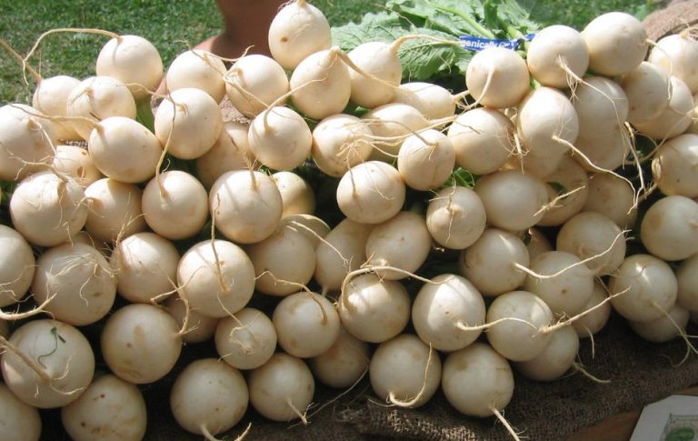 Diez recetas vegetarianas con nabos con las que poner en valor esta ...