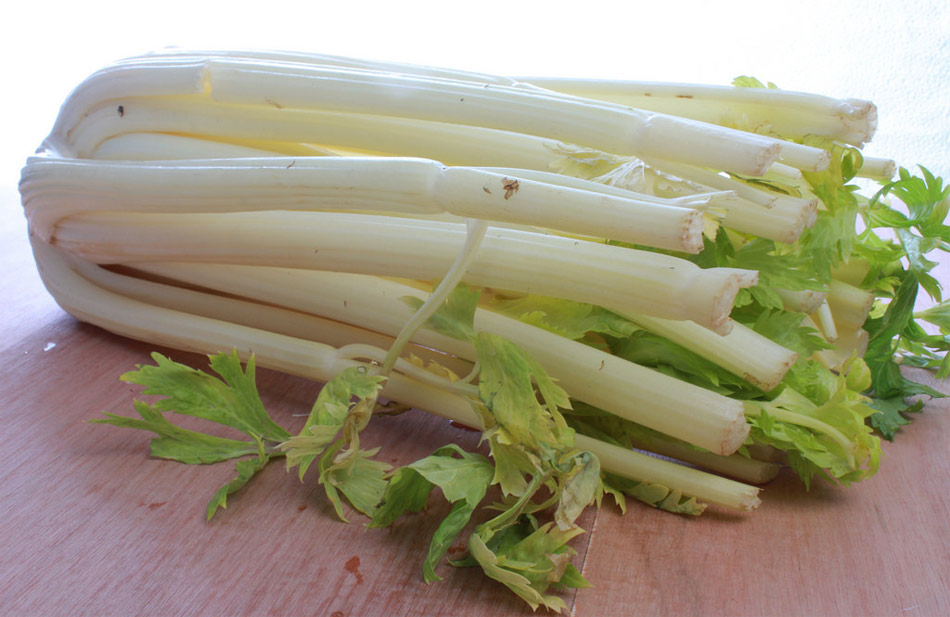 Apio | Gastronomía & Cía