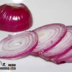 Cebolleta o cebolla tierna | Gastronomía & Cía