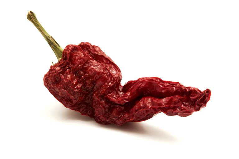 Pimiento morrón | Gastronomía & Cía