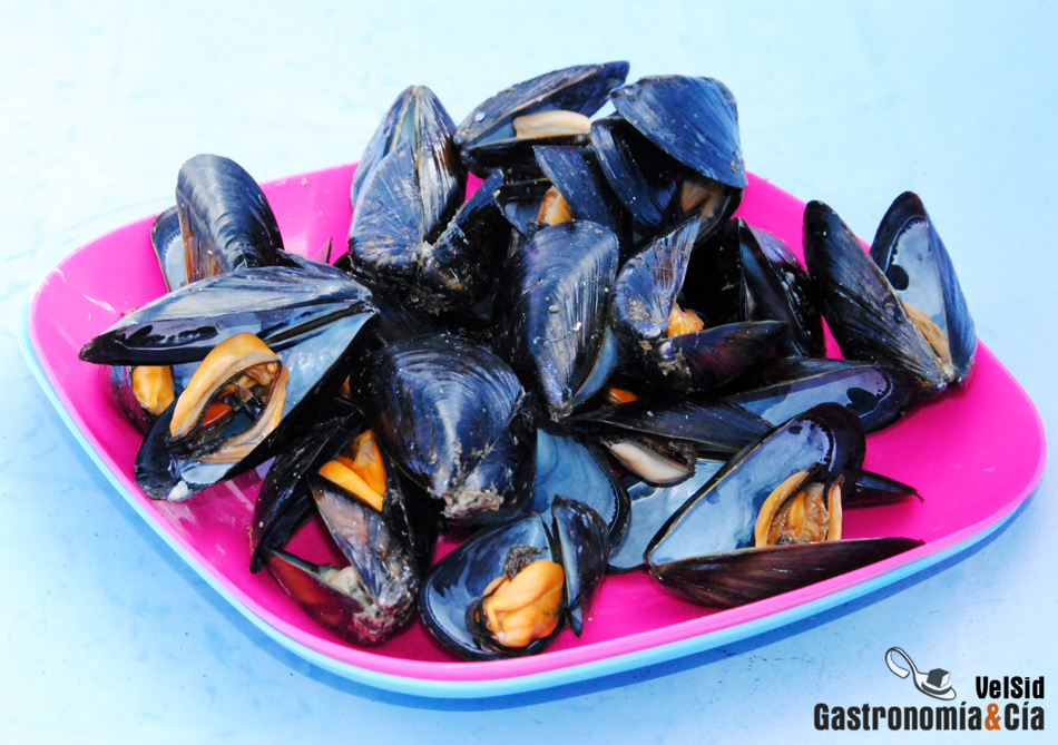 Clóchina de Valencia | Gastronomía & Cía