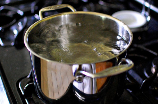 Qué significa Frémir | Gastronomía & Cía