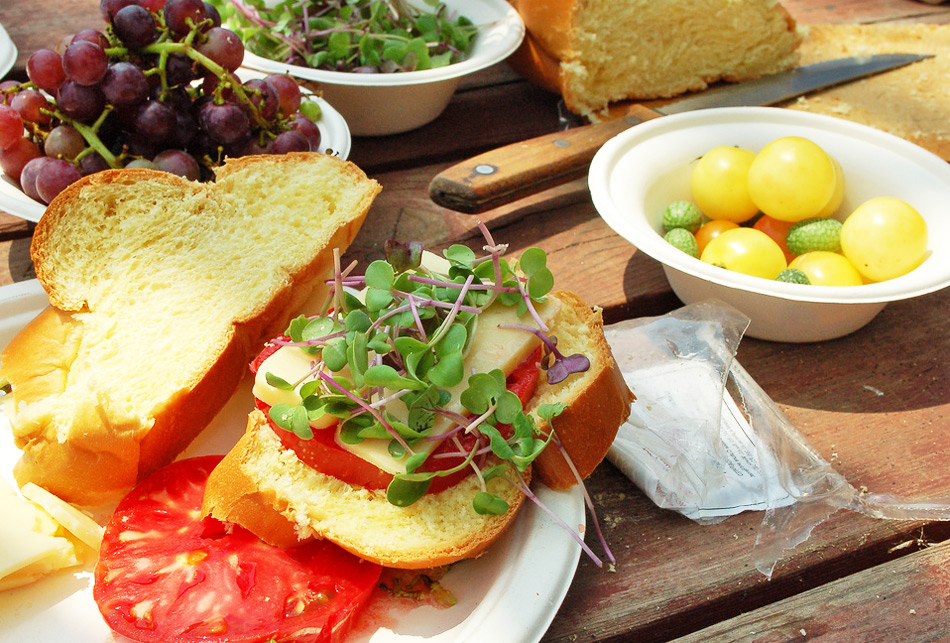 Qué es un picnic | Gastronomía & Cía