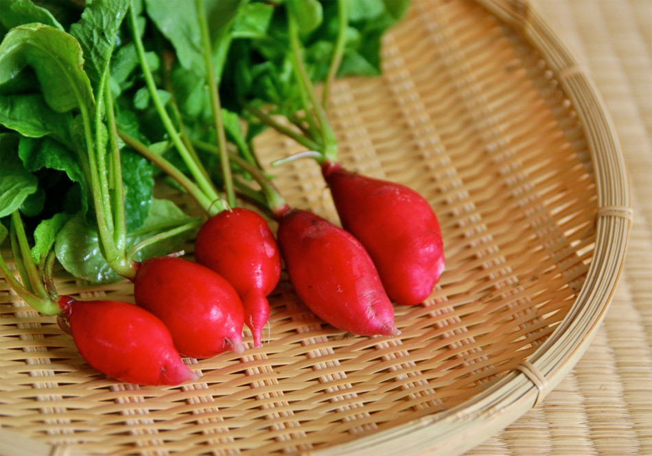 Qué significa à la croque au sel | Gastronomía & Cía