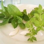 Condimento italiano | Gastronomía & Cía