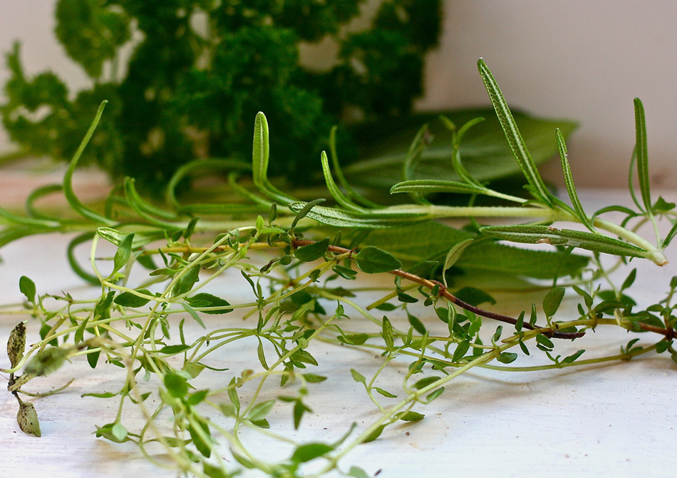 Cómo deshojar tomillo y romero. Vídeo | Gastronomía & Cía