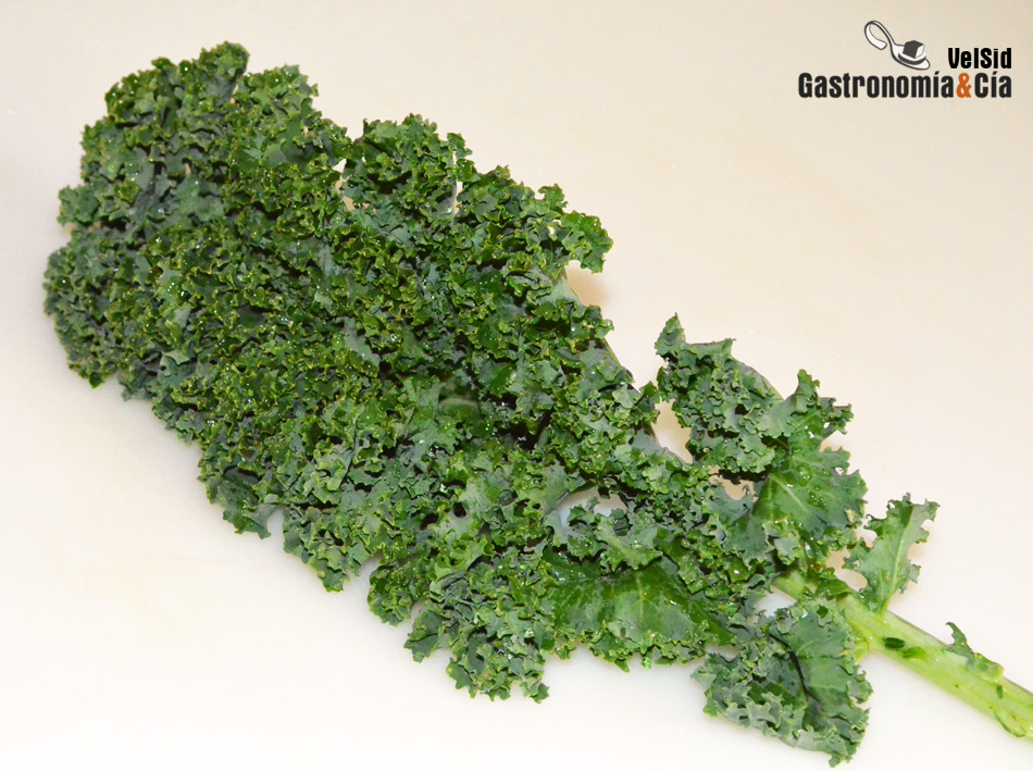 Col kale | Gastronomía & Cía