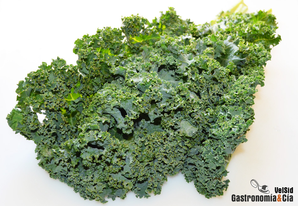 Col kale | Gastronomía & Cía
