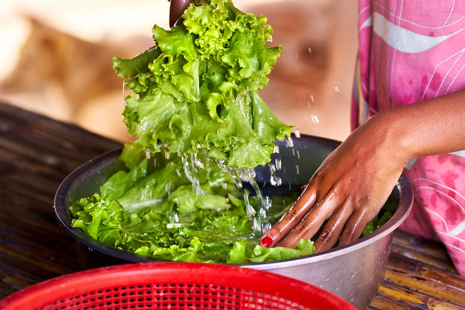 ¿Cómo lavar las frutas y verduras para que sean seguras? | Gastronomía ...
