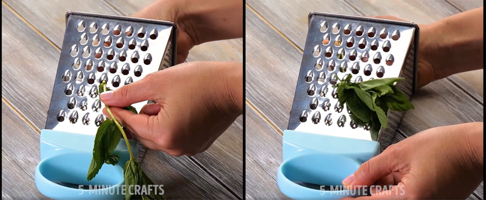 Truco para deshojar las hierbas aromáticas con un rallador ...