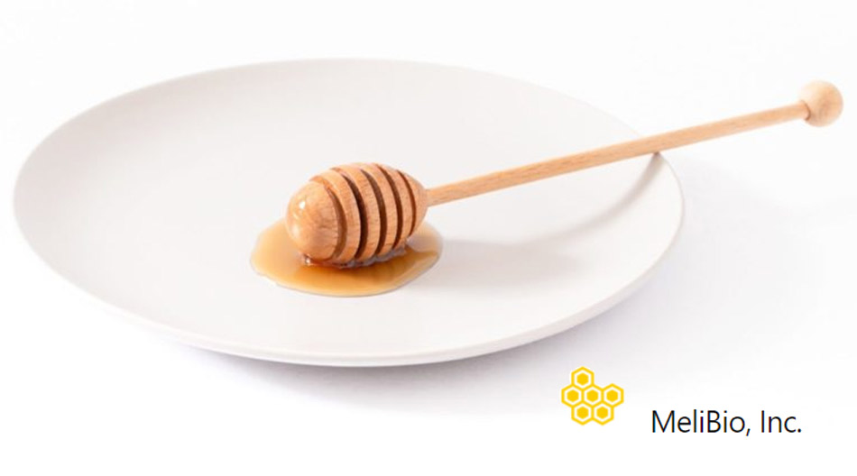 Nueva «miel vegana» elaborada sin la intervención de abejas ...