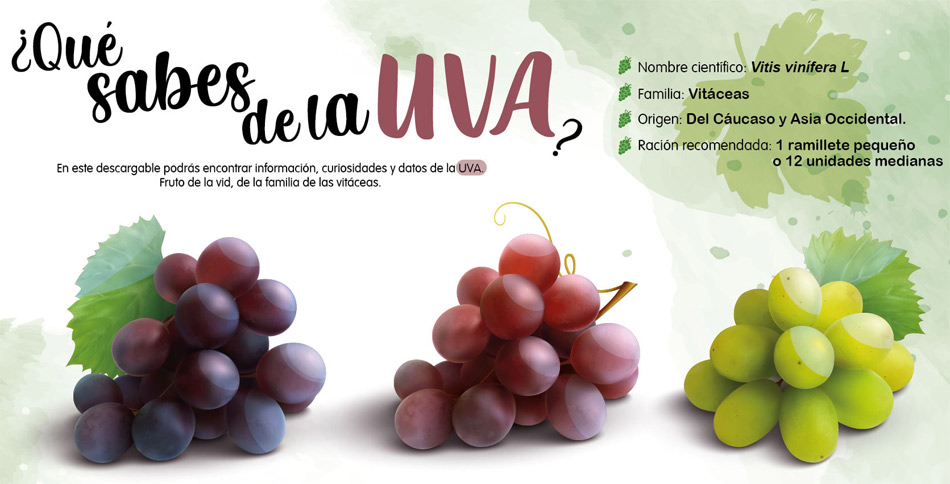 Principales variedades de uva de mesa y algunas curiosidades ...