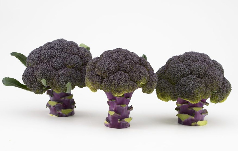 Purple Magic, la primera variedad de brócoli morado | Gastronomía & Cía