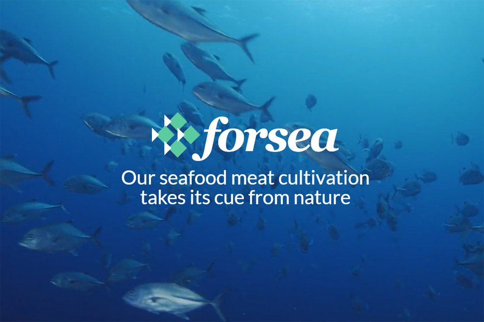 Producción de filetes de pescado a partir de la técnica para cultivar ...