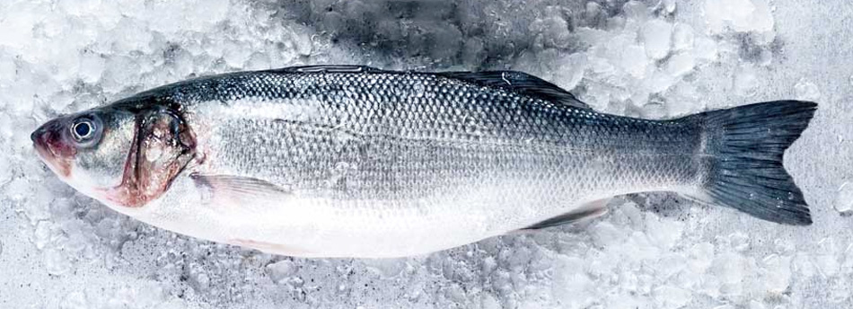 Lubina o róbalo, un pescado muy sabroso y accesible, una delicia de ...