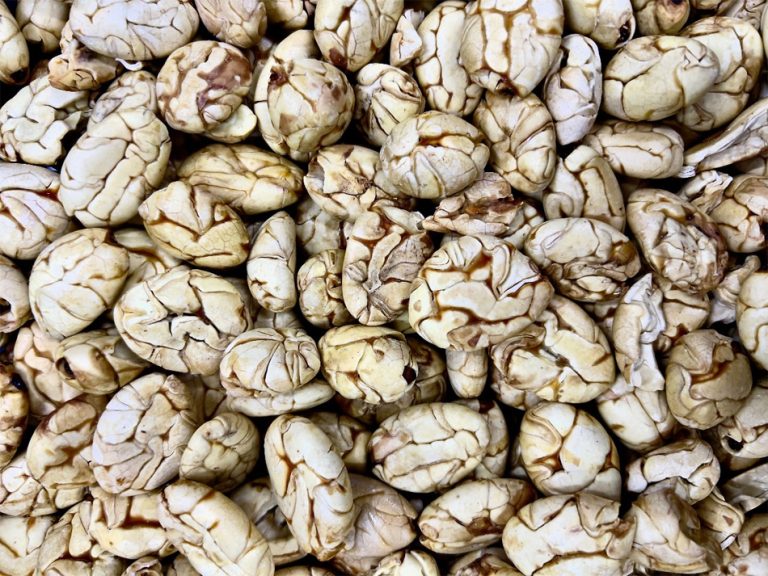 Descubre qué es el macambo, quizá ahora sí existe el chocolate blanco ...