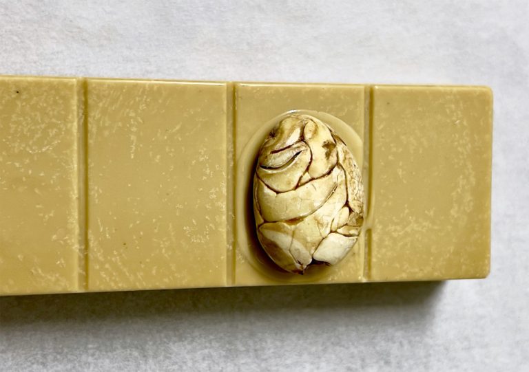 Descubre qué es el macambo, quizá ahora sí existe el chocolate blanco ...