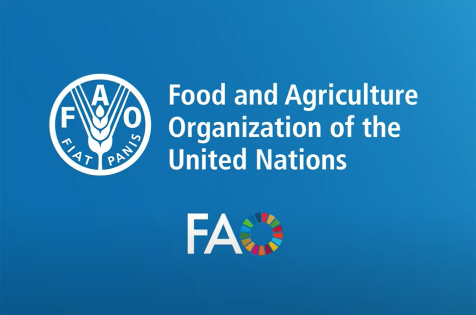 La FAO insta a revertir la creciente inseguridad alimentaria en el ...