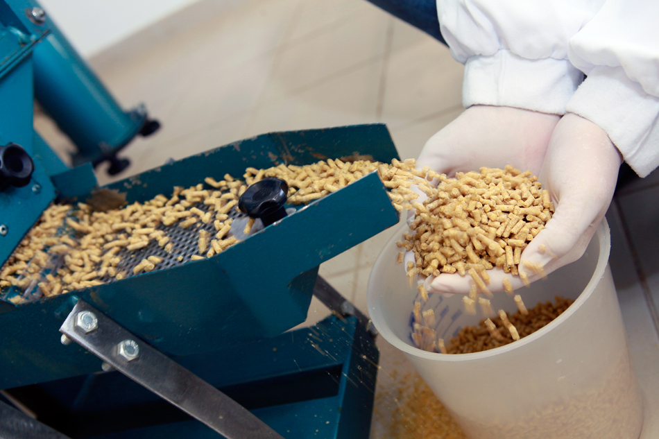 Cómo funciona el proceso de extrusión en la producción de alimentos ...