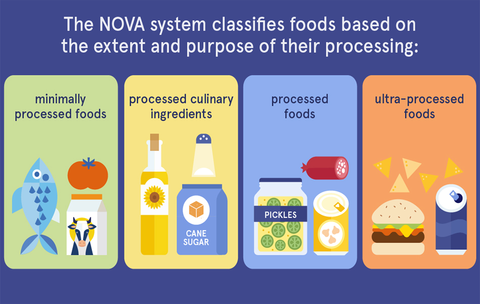 Se plantea reformar la clasificación NOVA que agrupa los alimentos según su naturaleza ...