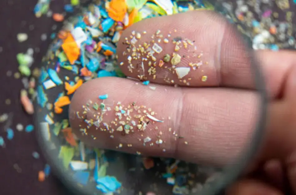 Los microplásticos y los nanoplásticos podrían alterar la salud ...