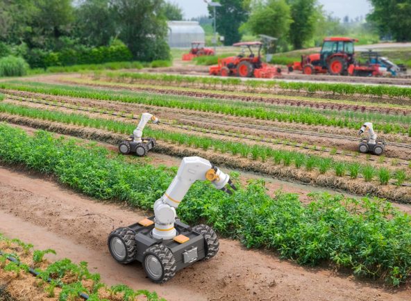 Impacto de la inteligencia artificial en la agricultura, una gran ...