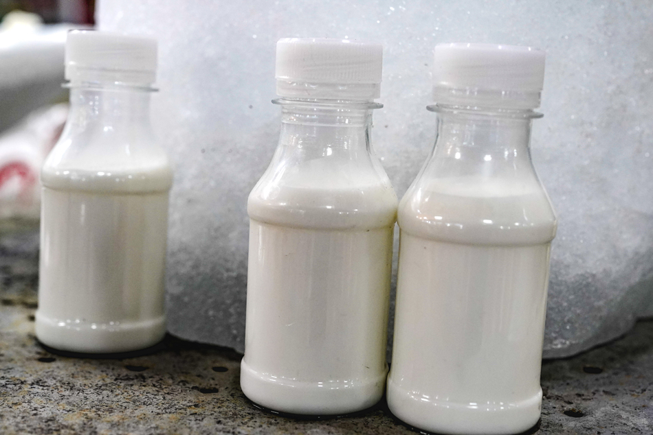 Qué diferencias hay entre la leche de vaca y la leche de camello ...