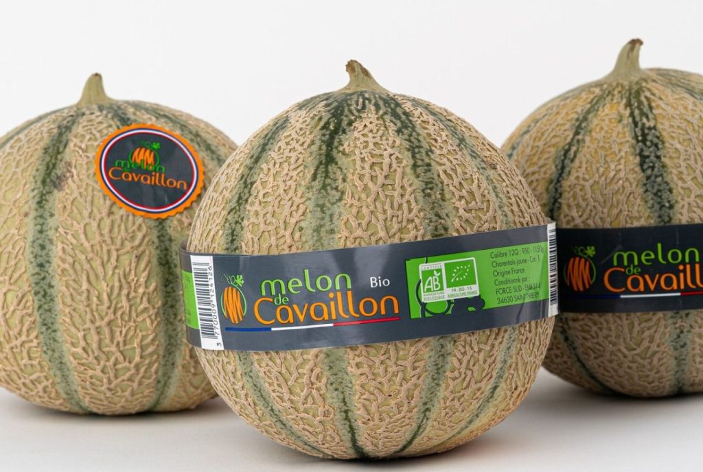 El melón de Cavaillon obtiene la Indicación Geográfica Protegida | Gastronomía & Cía