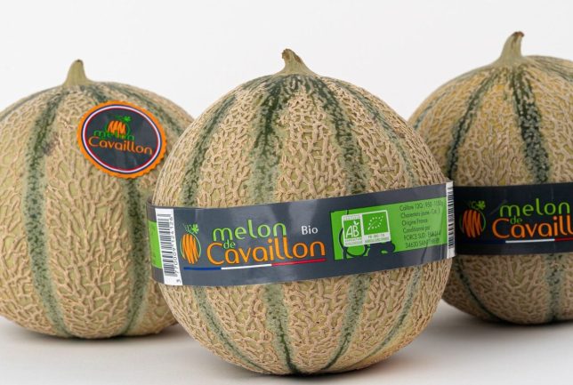 El melón de Cavaillon obtiene la Indicación Geográfica Protegida | Gastronomía & Cía
