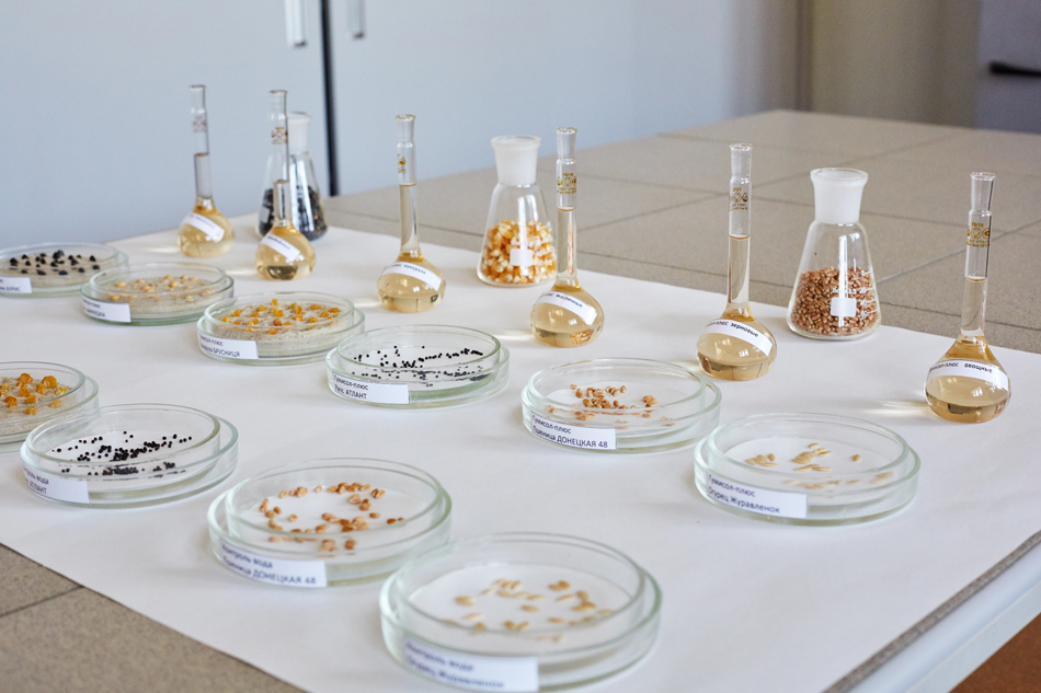 Qué es la fermentación de precisión y cómo se utiliza en la alimentación | Gastronomía & Cía