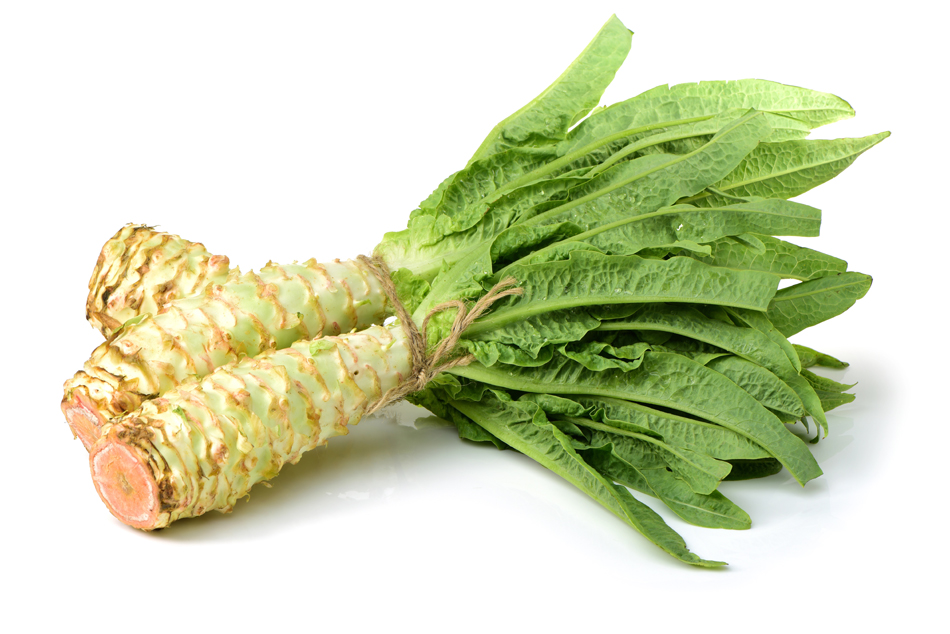 Guía práctica de lechugas: historia, tipos y cómo elegir la mejor para ...