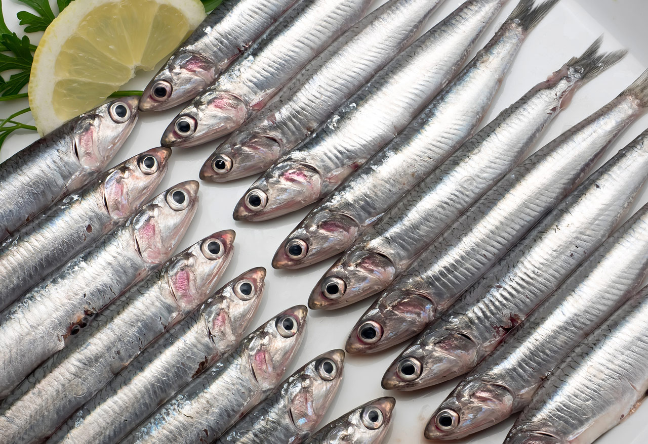 Boquerón, anchoa y bocarte: tres nombres para un mismo pescado ...